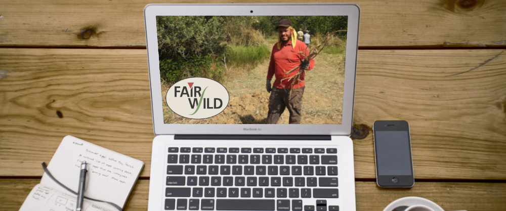Celebrating wild ingredients through FairWild: a webinar to learn more ...