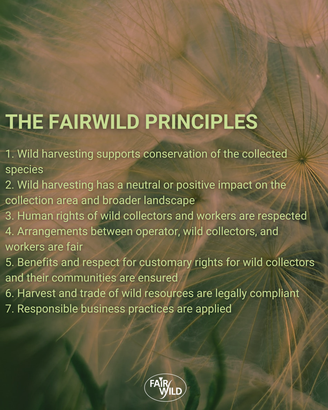 The FairWild Standard 3.0: Simplifying Complexity and Expanding ...