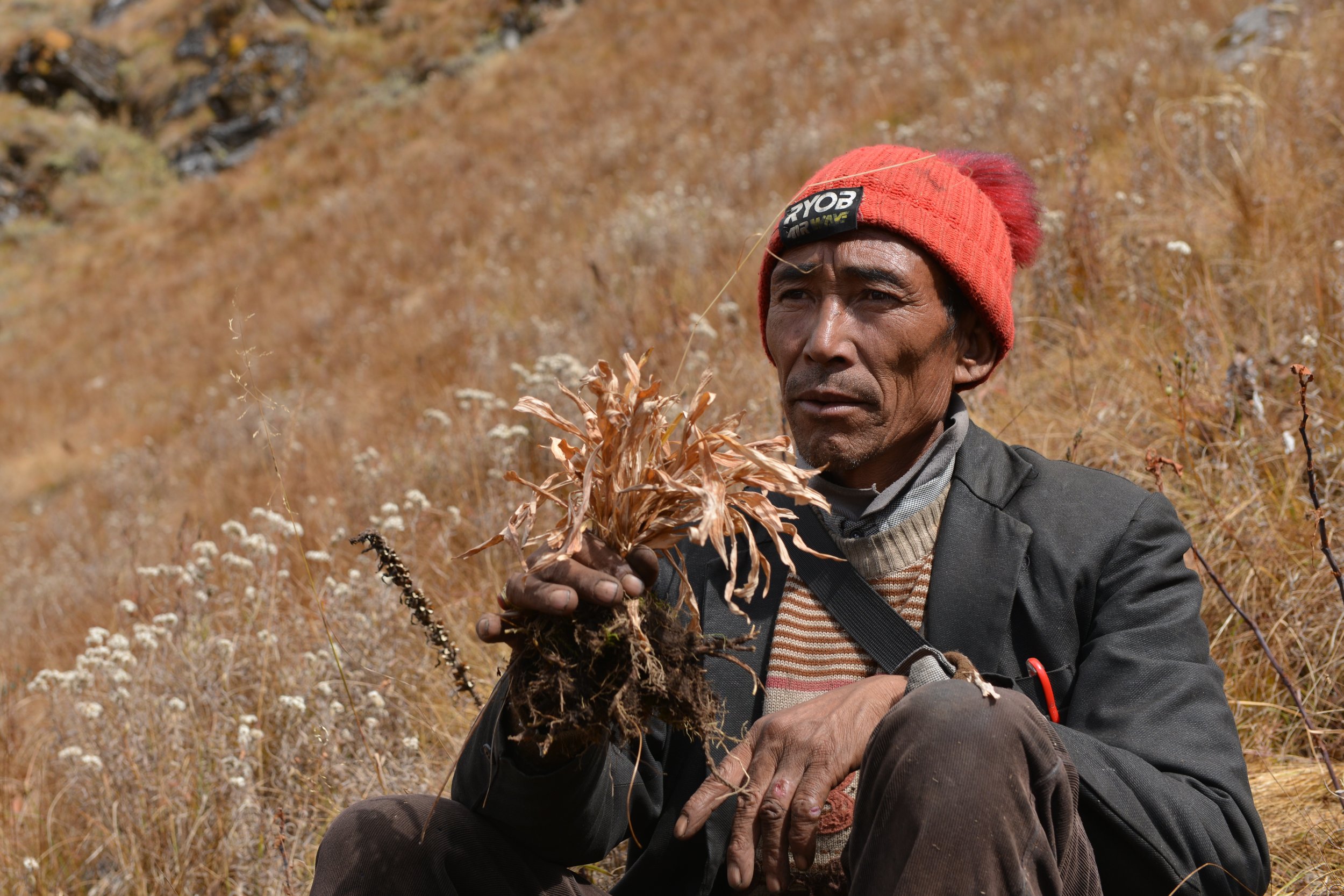 Himalayan Bio Trade Ltd. — FairWild Foundation