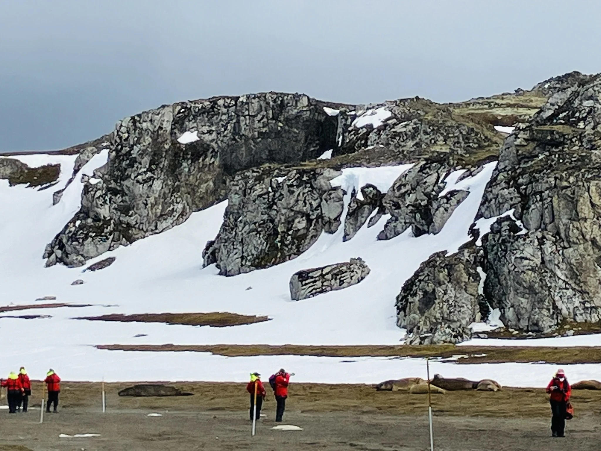 Antarctica: What makes up this vast continent? — Rebel Road Creative