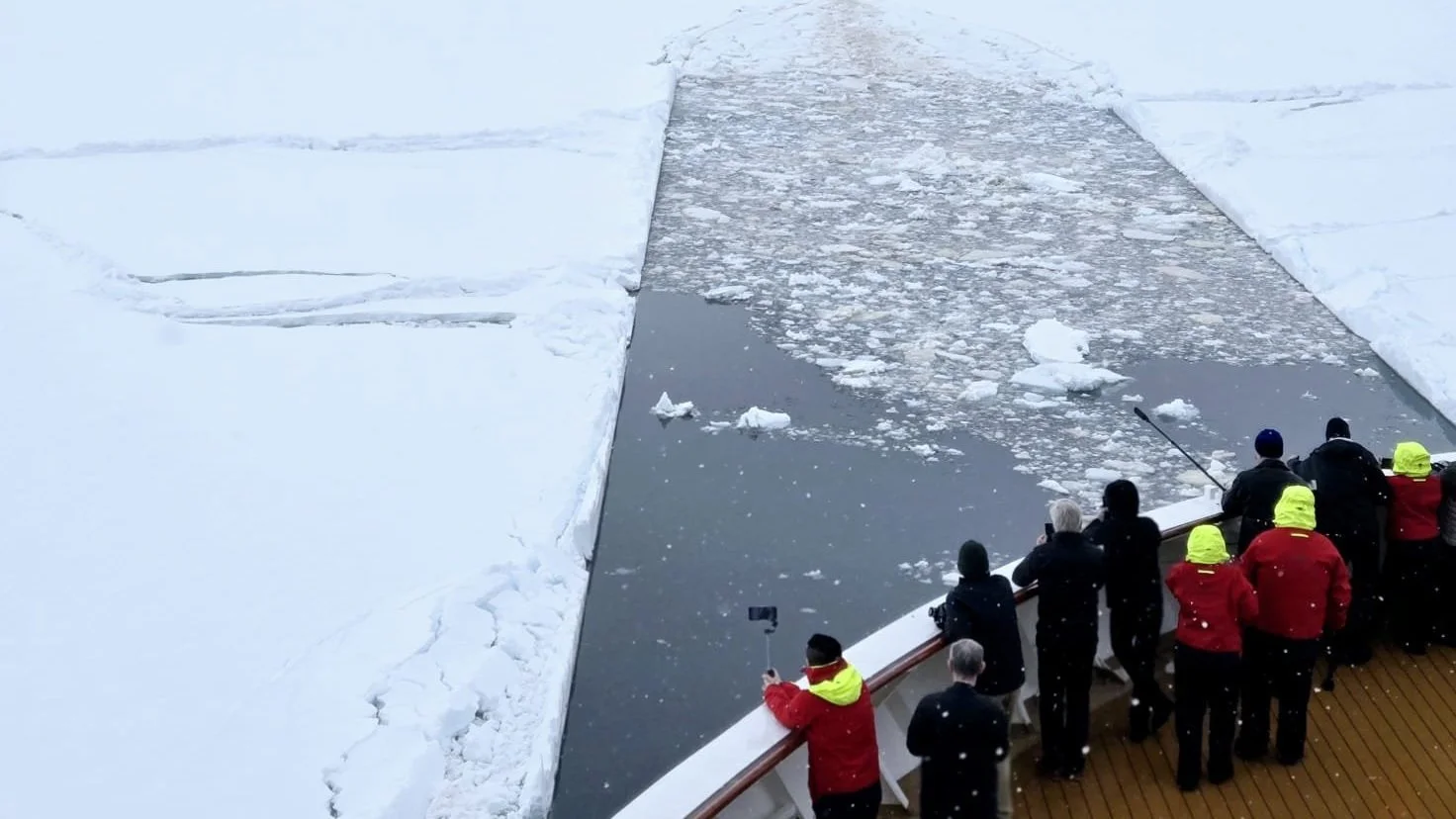 What to Wear in Antarctica — Rebel Road Creative