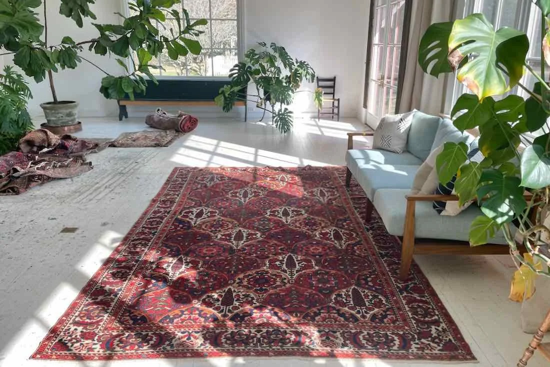 Bakhtiar Persian Rug, 7x11 — Weft & Wool