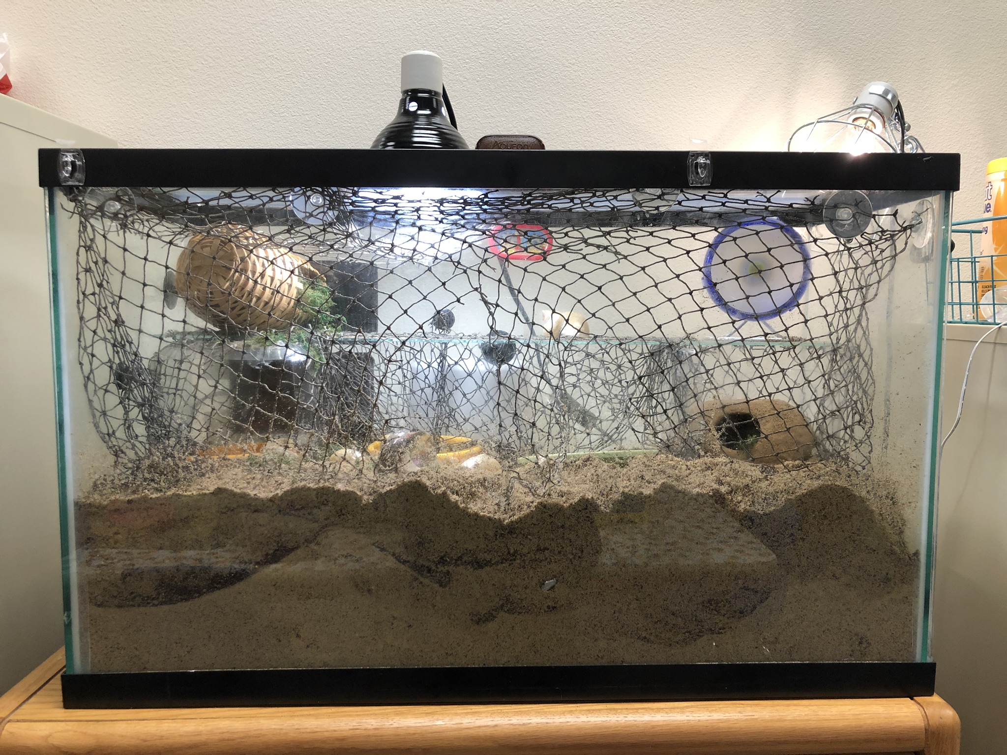 Pet Hermit Crab Tanks