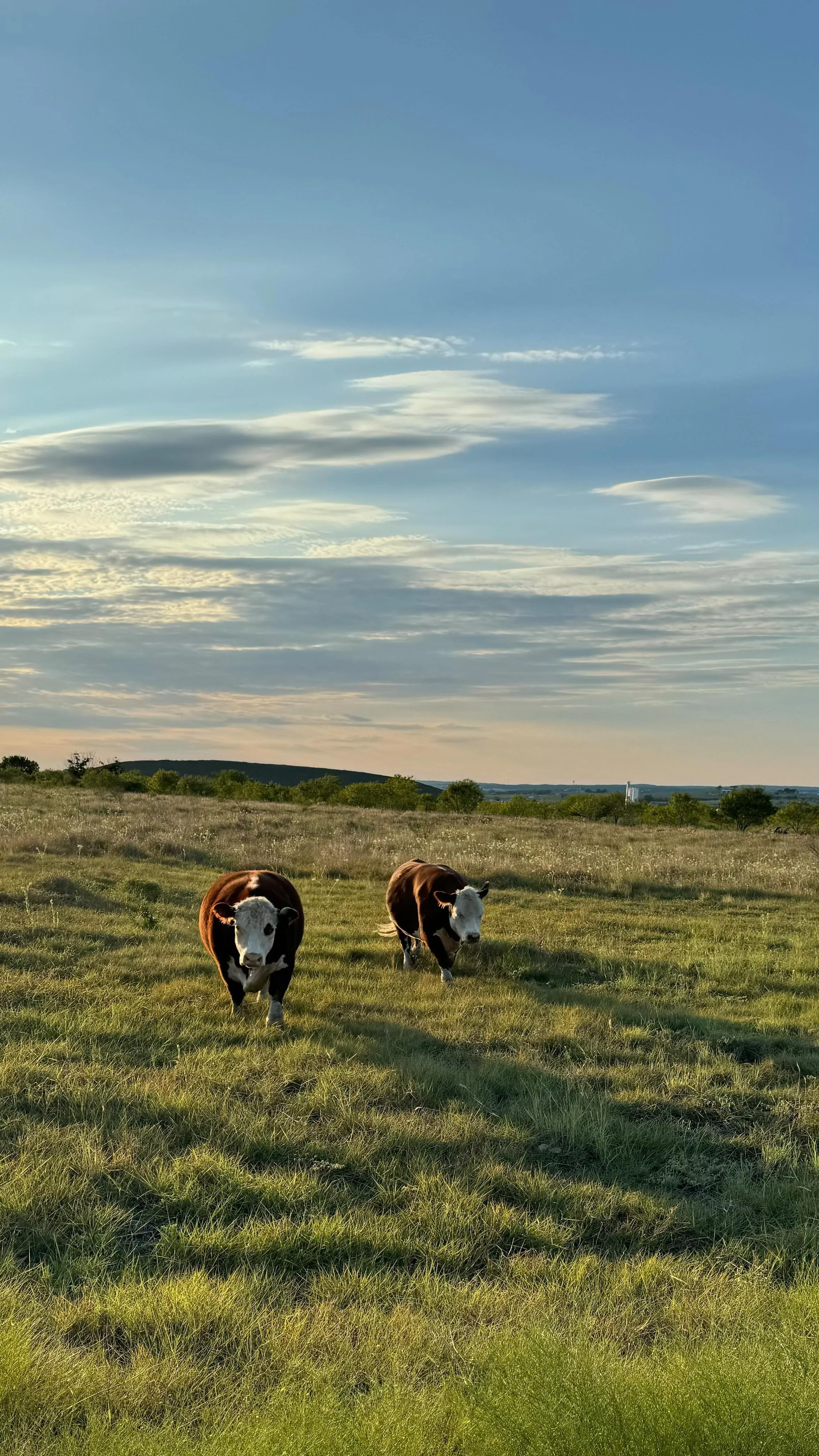 Calendar — Harper Hill Ranch