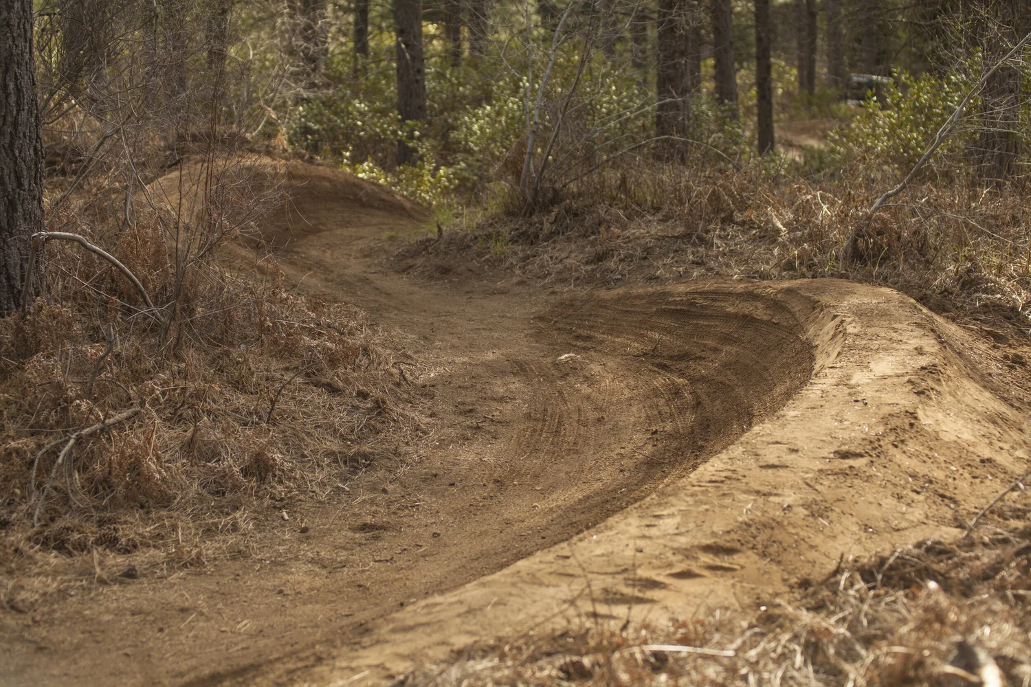 Gateway Trail System — Shasta Gravity Adventures