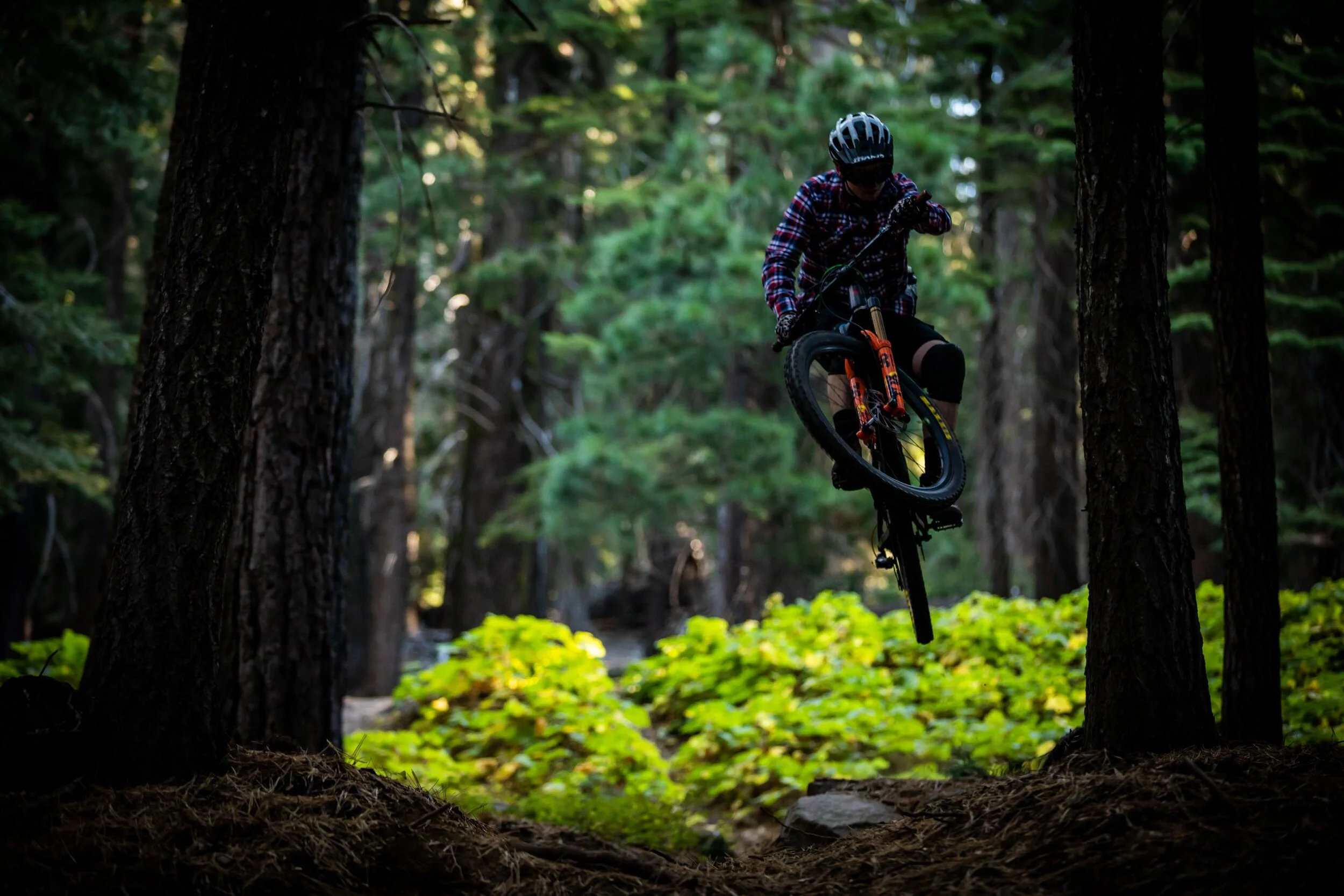 Shasta Gravity Adventures