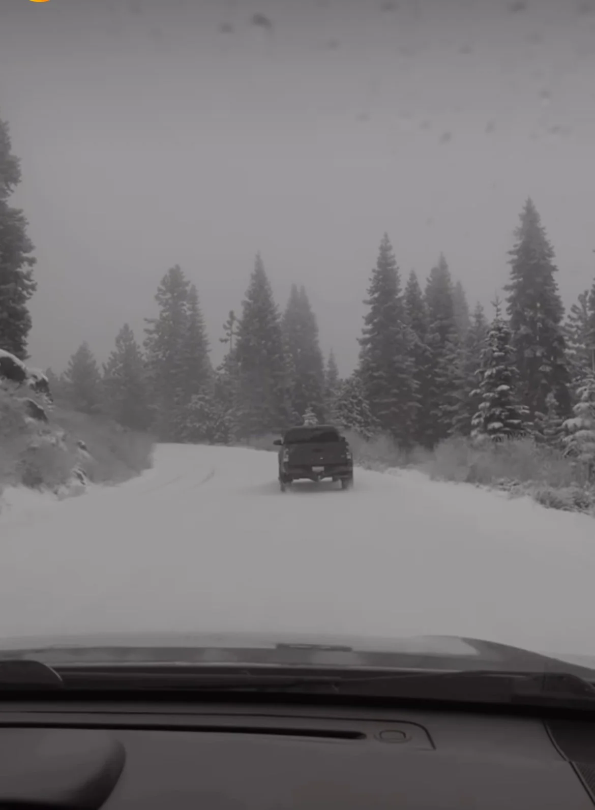 Winter's Arrival — Shasta Gravity Adventures