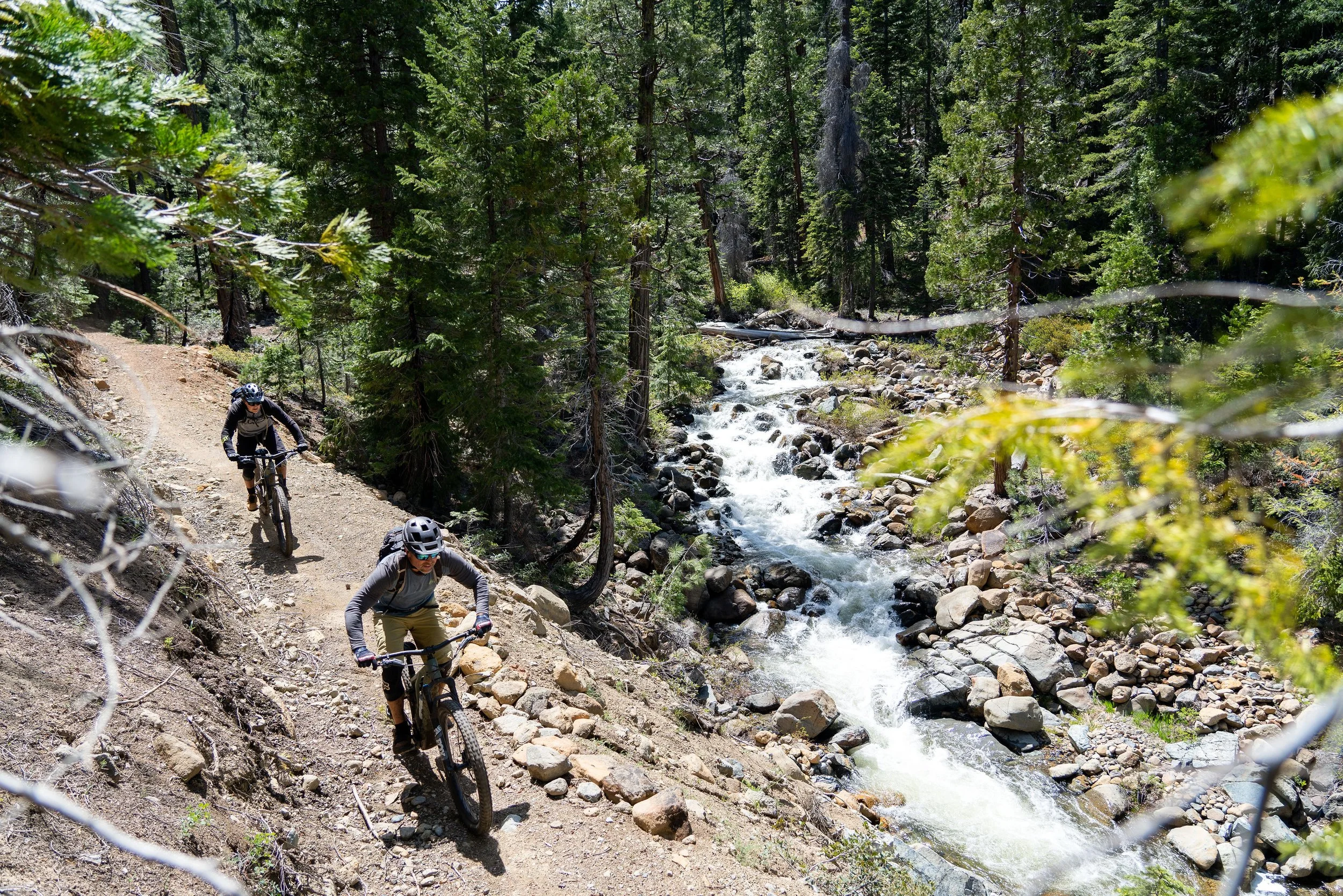 Shasta Gravity Adventures: Mountain Bike Shuttles, Bike Rentals ...