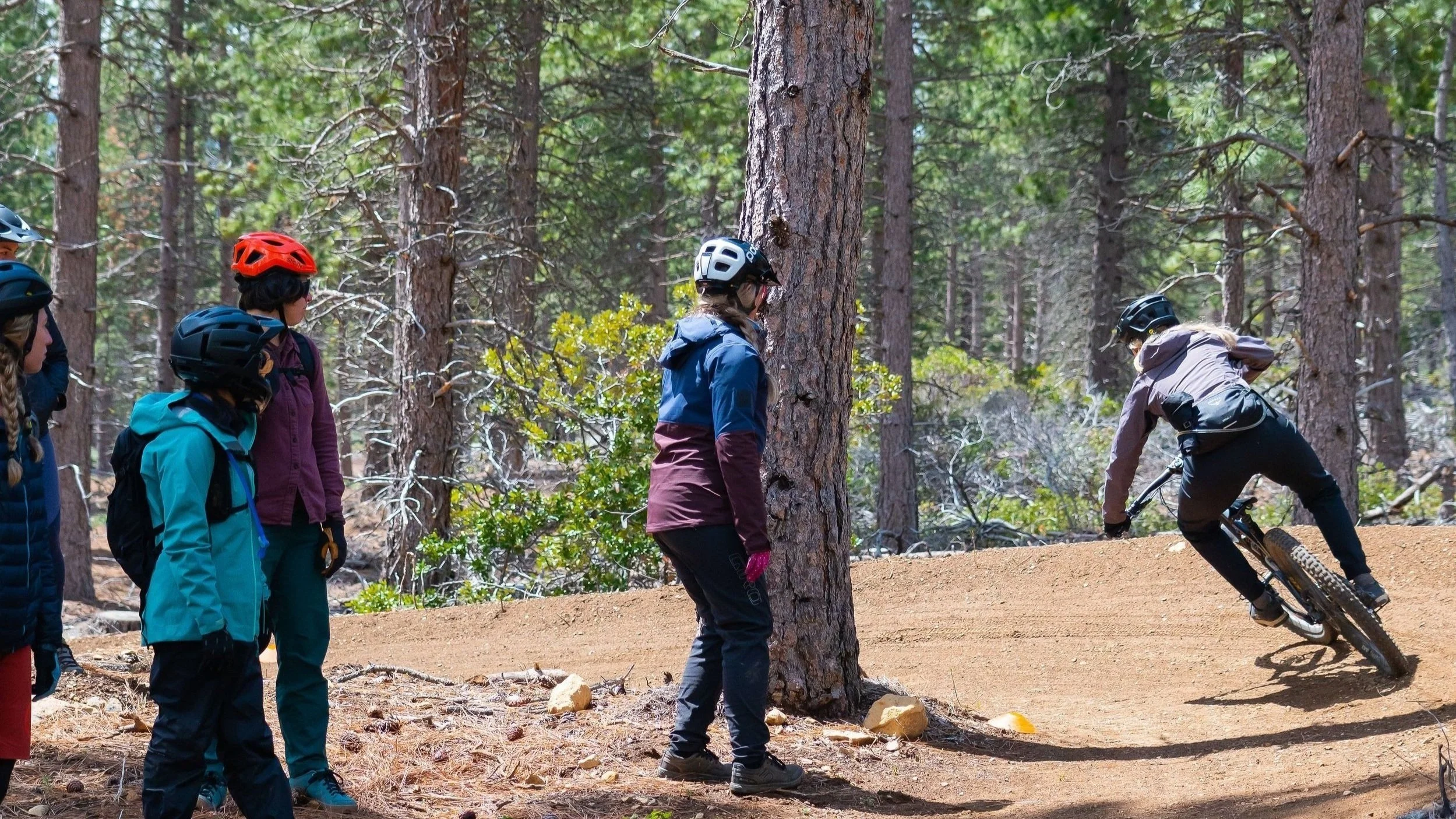 Shasta Gravity Adventures: Mountain Bike Shuttles, Bike Rentals ...