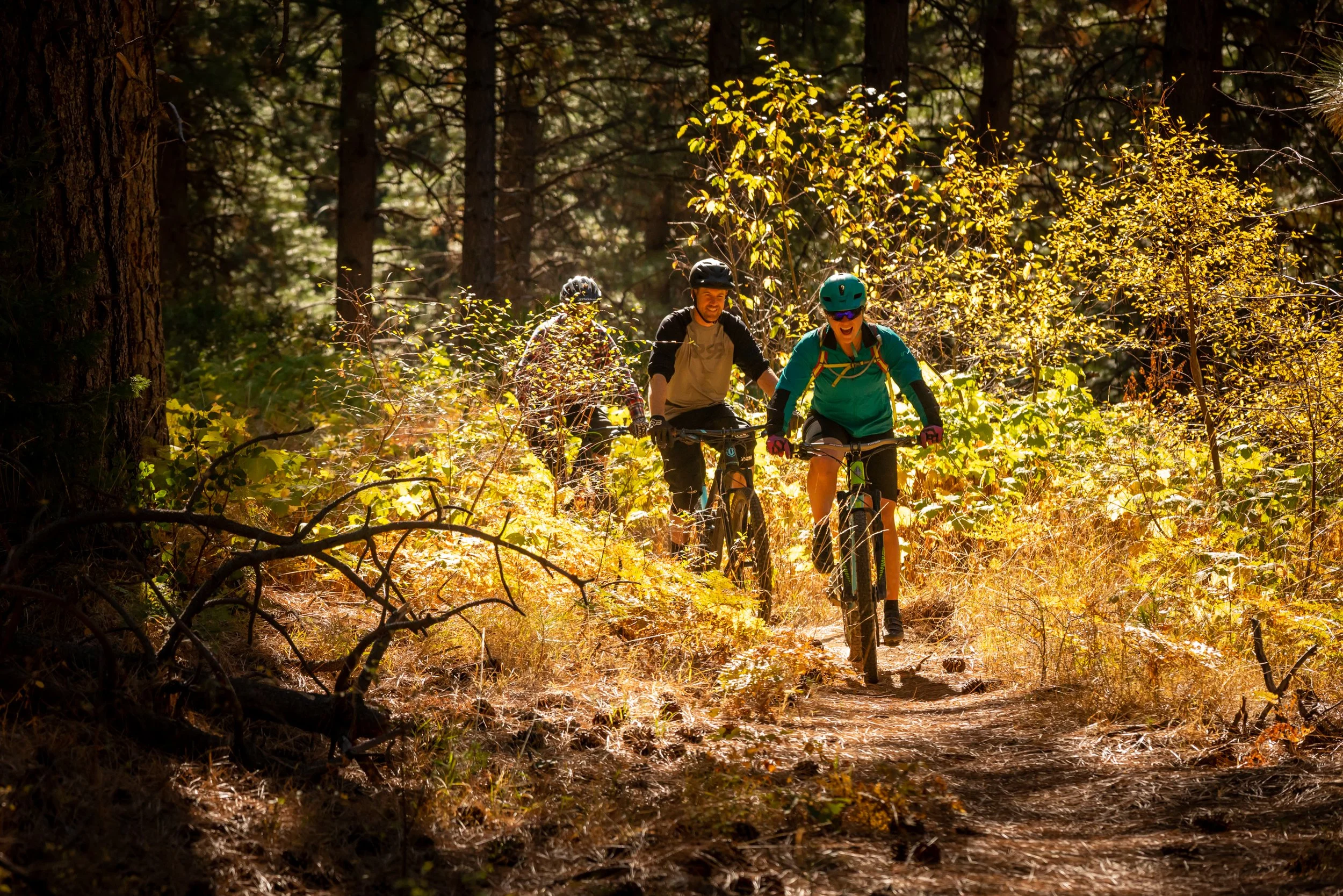 Shasta Gravity Adventures