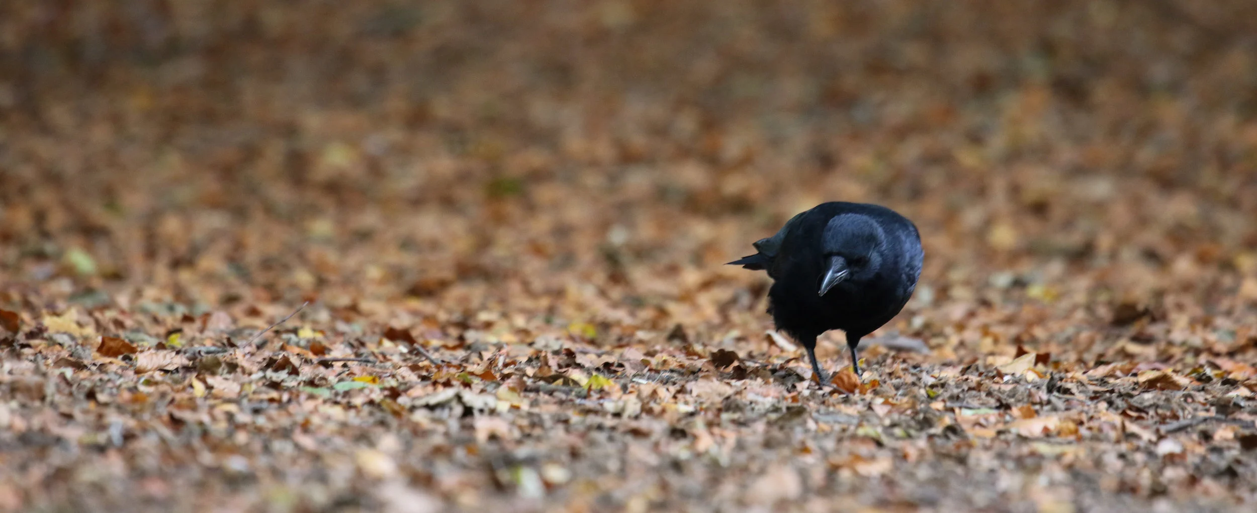 All Photography — Millie Kerr