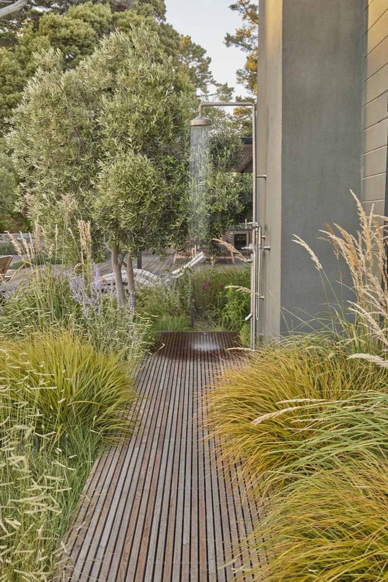 Panoramic Marin Habitat — Oxbow Landscape Contractors