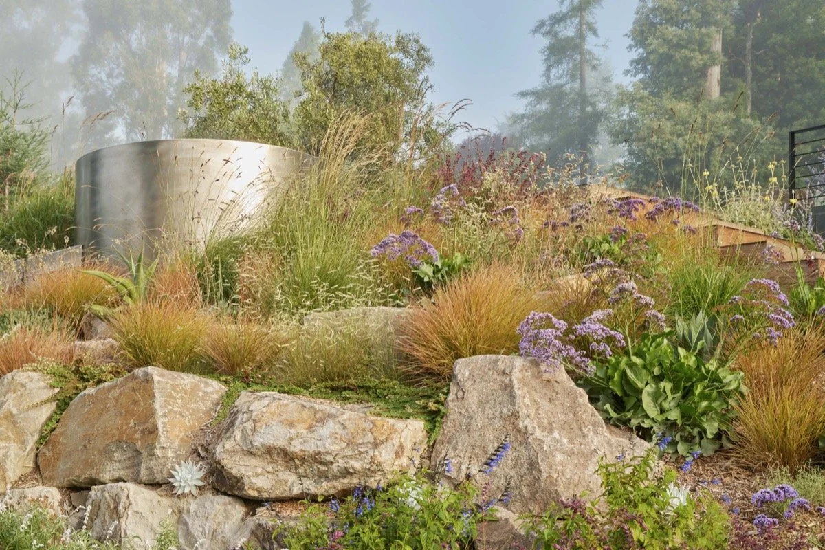 Panoramic Marin Habitat — Oxbow Landscape Contractors