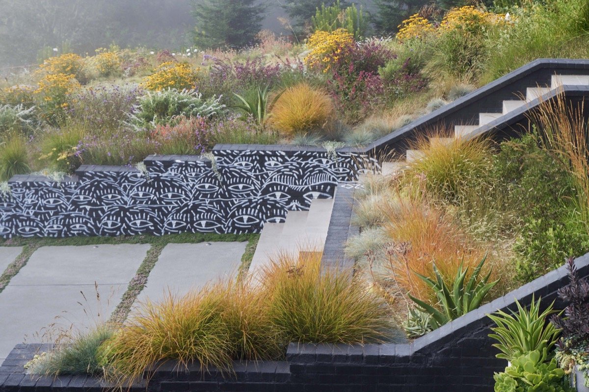 Panoramic Marin Habitat — Oxbow Landscape Contractors