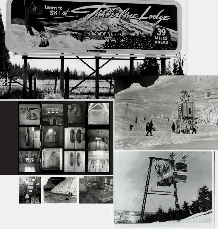 New Page — We Are Camp