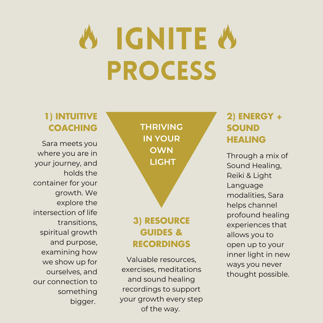 Ignite Program — Future Self Healing Arts