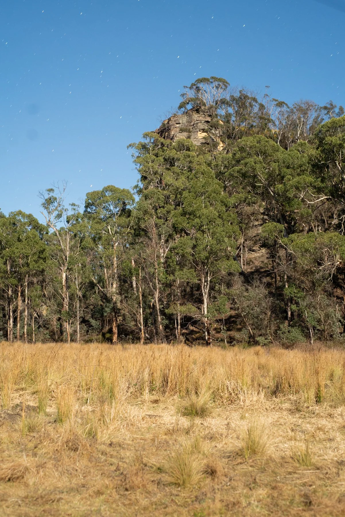 About — Bryden Williams