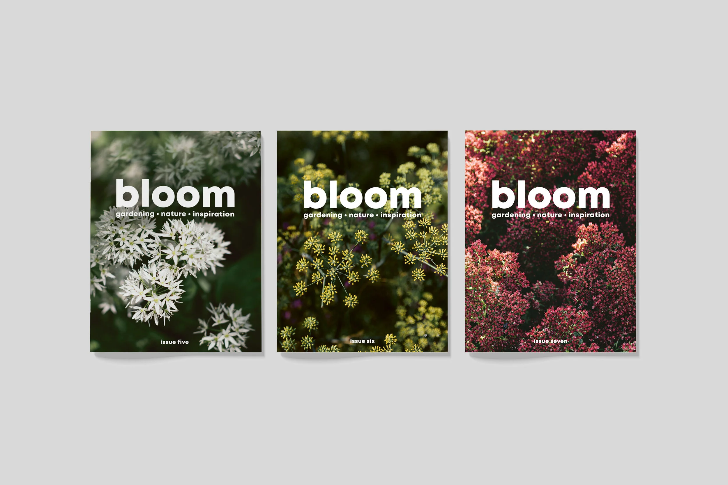 Bloom Magazine — ELANA GABRIELLE