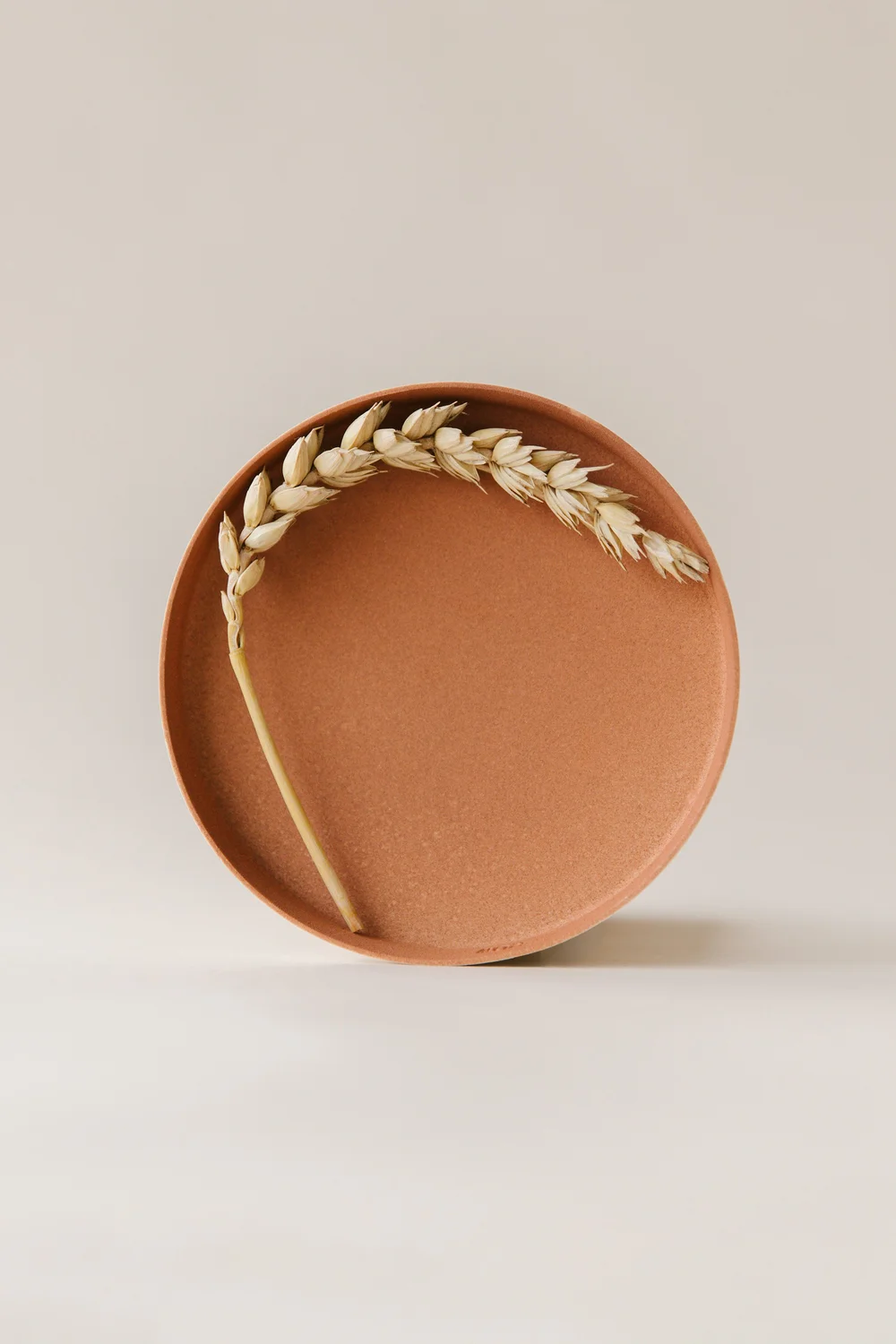 Art, on display Perishable sculptures photography series — Joske Simmelink