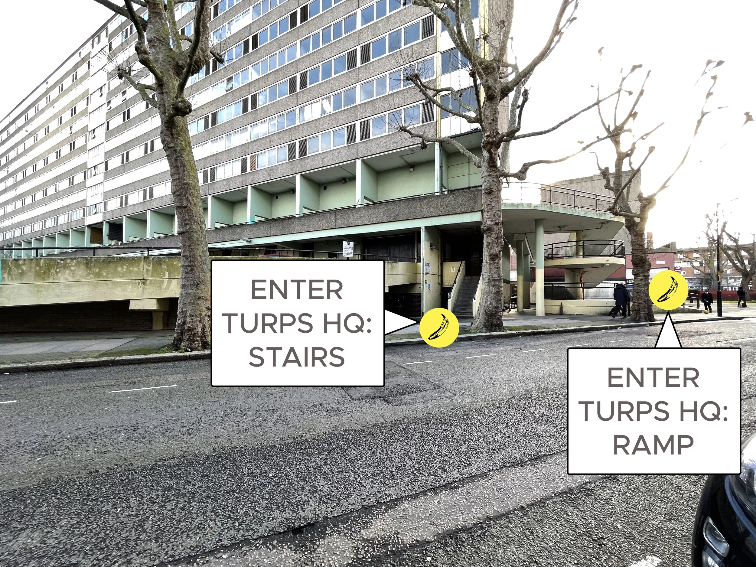 CONTACT — TURPS BANANA