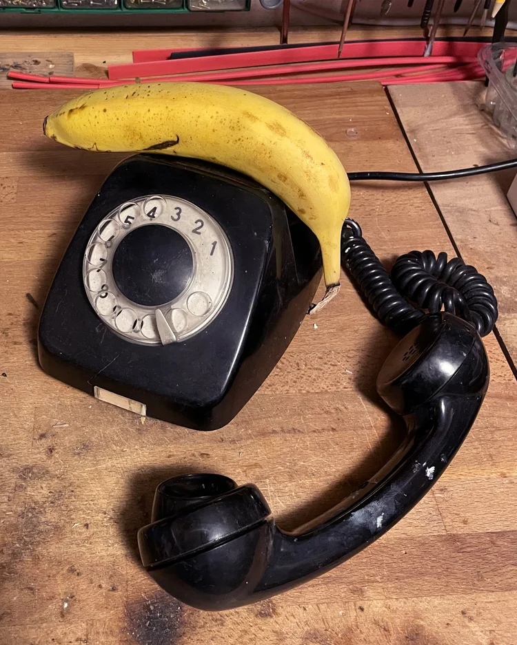 CONTACT — TURPS BANANA