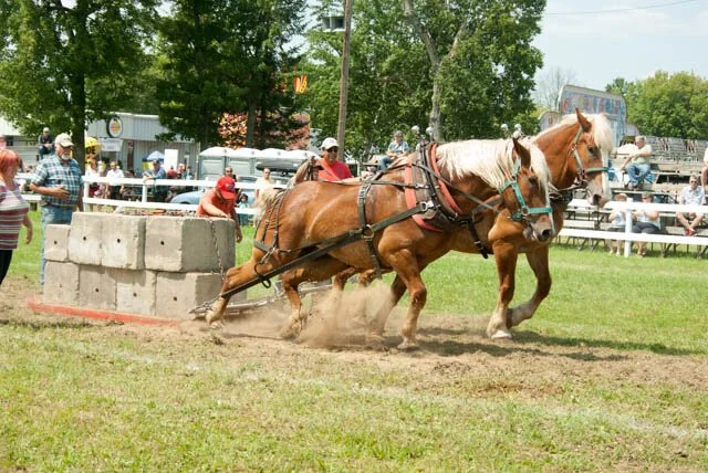 Hebron Harvest Fair