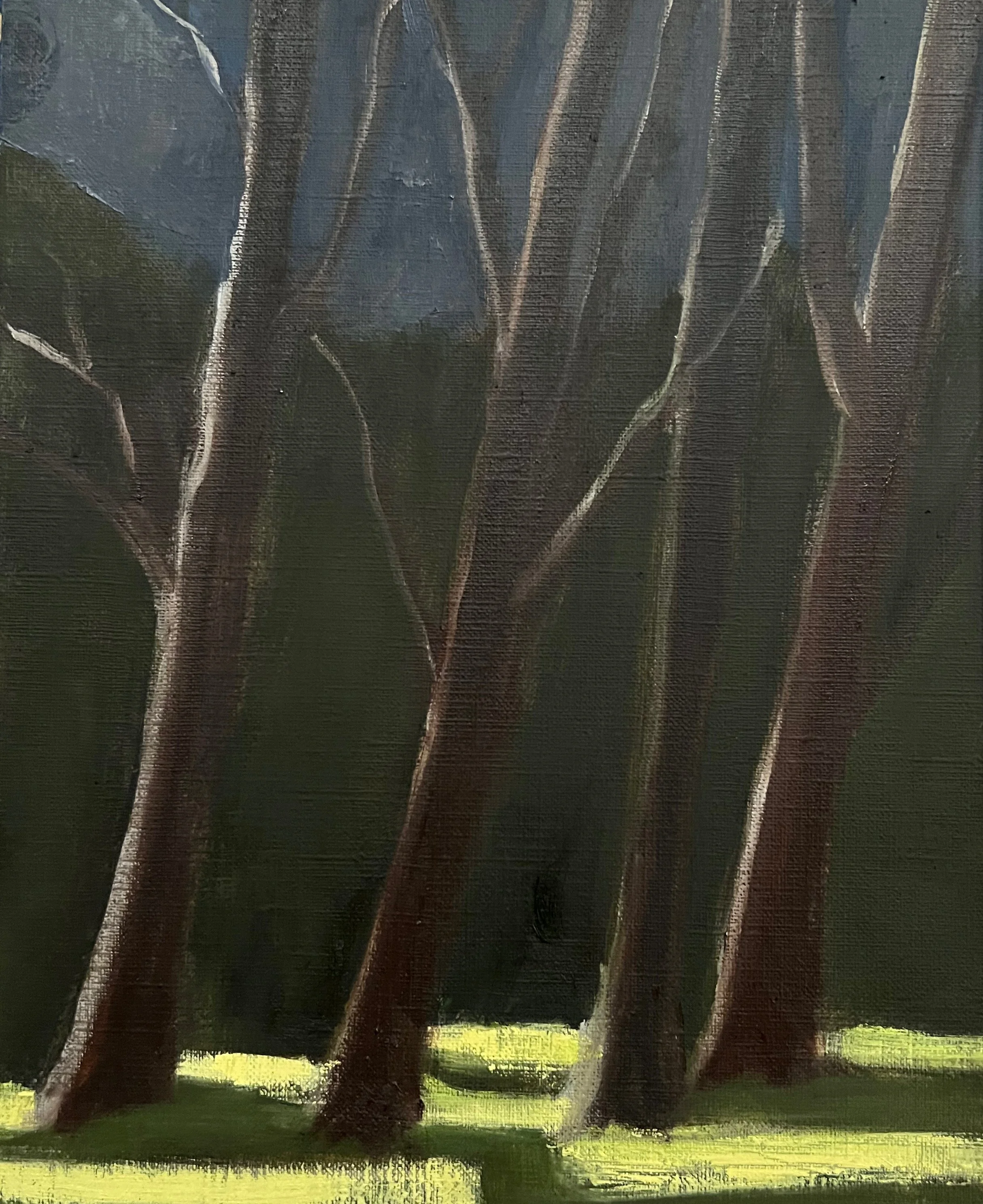 Paintings — Nancy Colella