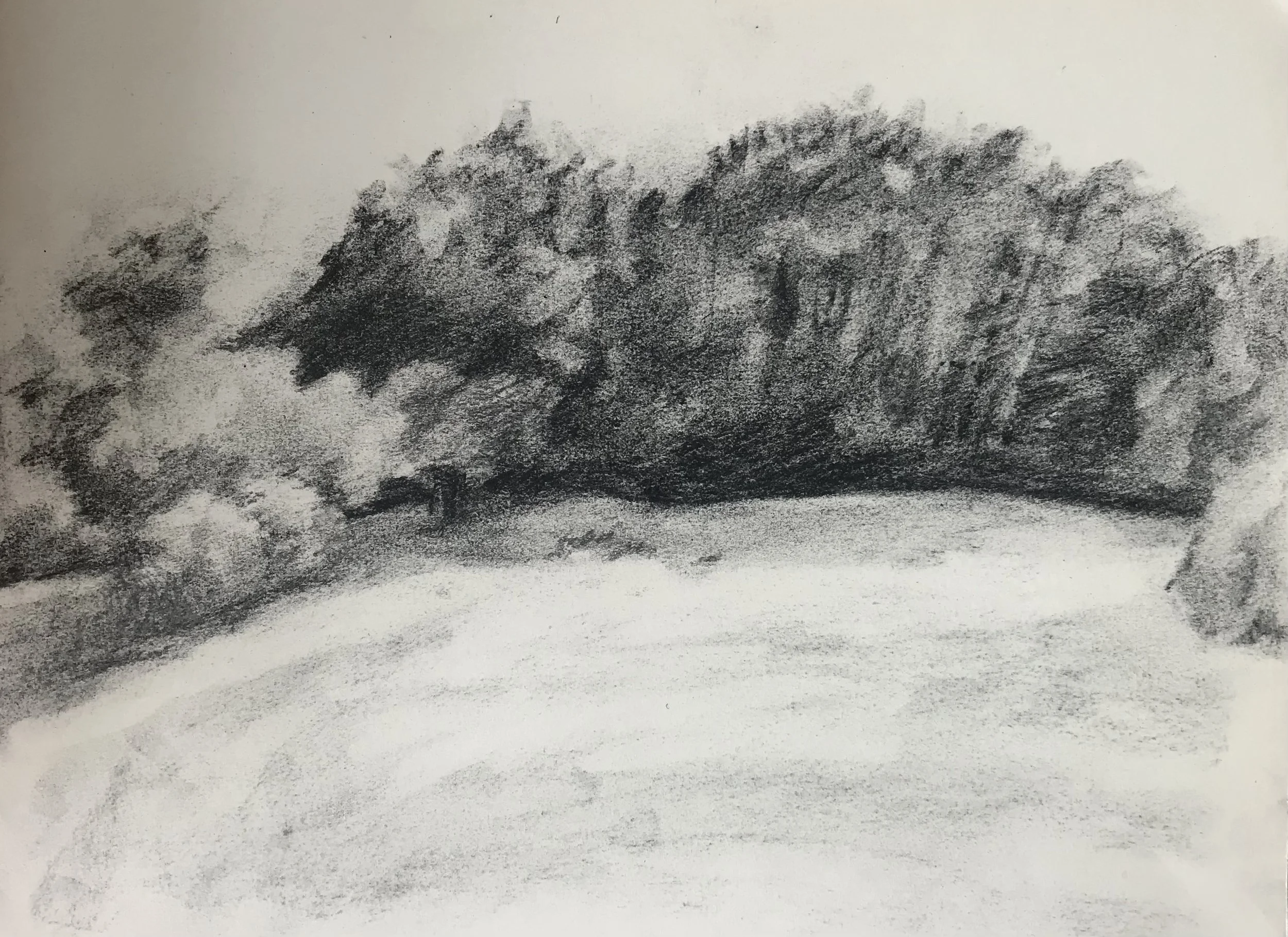 drawings from life — Elizabeth Clough