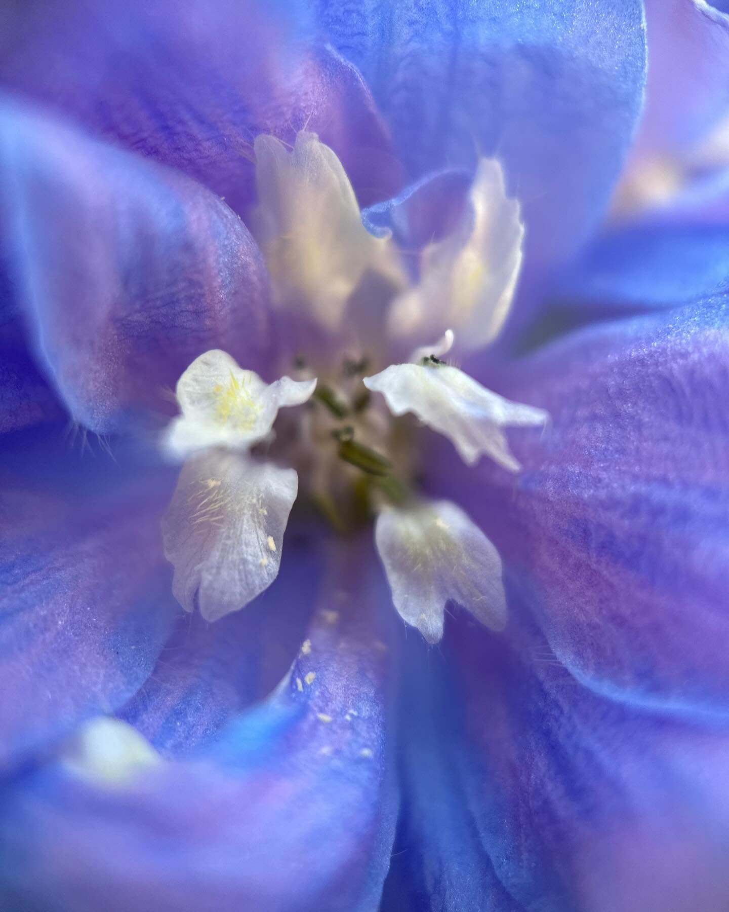 Karin Edgett visionary artist and photographer