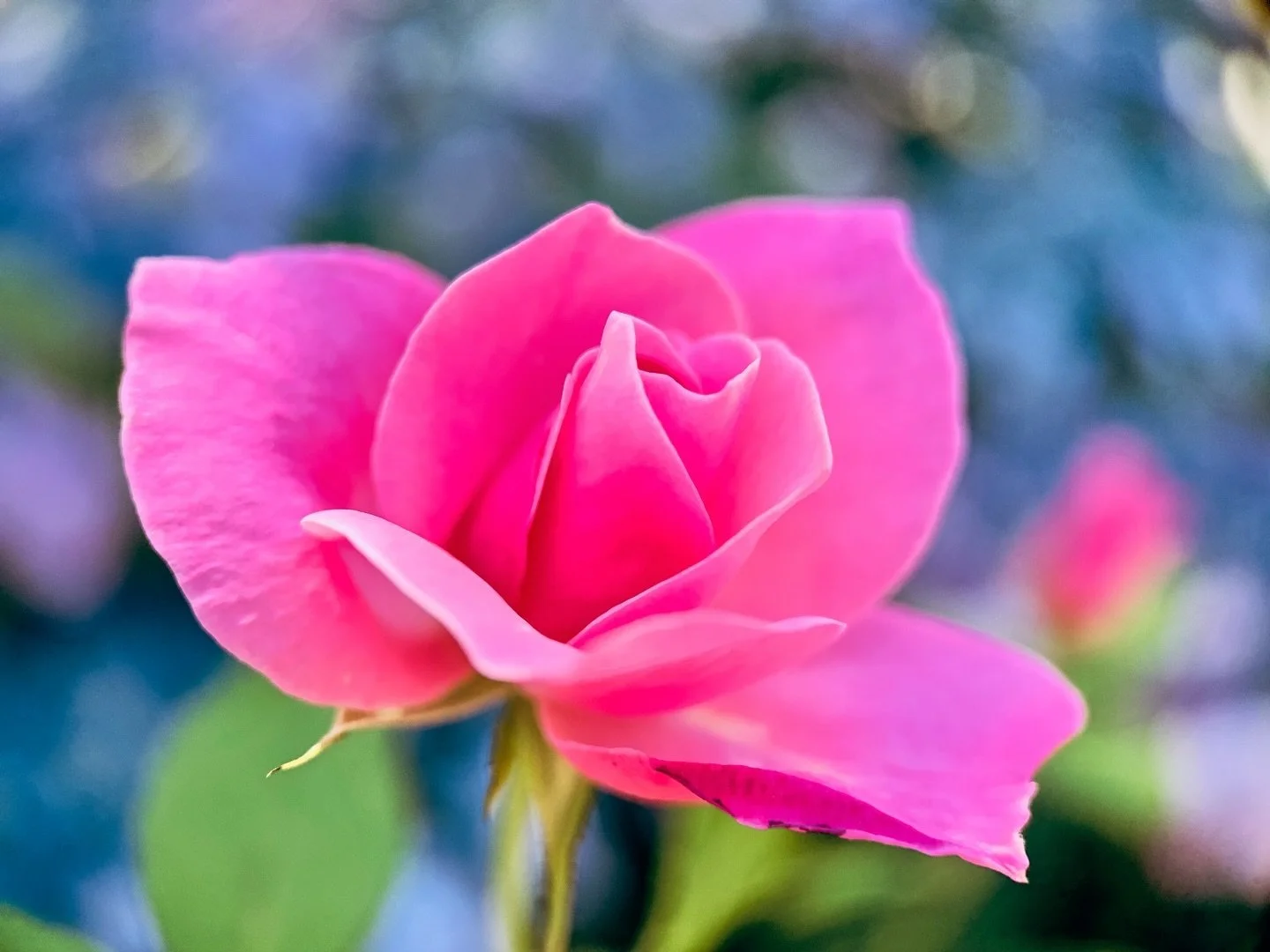 Karin Edgett visionary artist and photographer