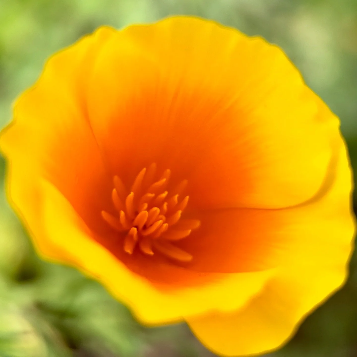 Karin Edgett visionary artist and photographer