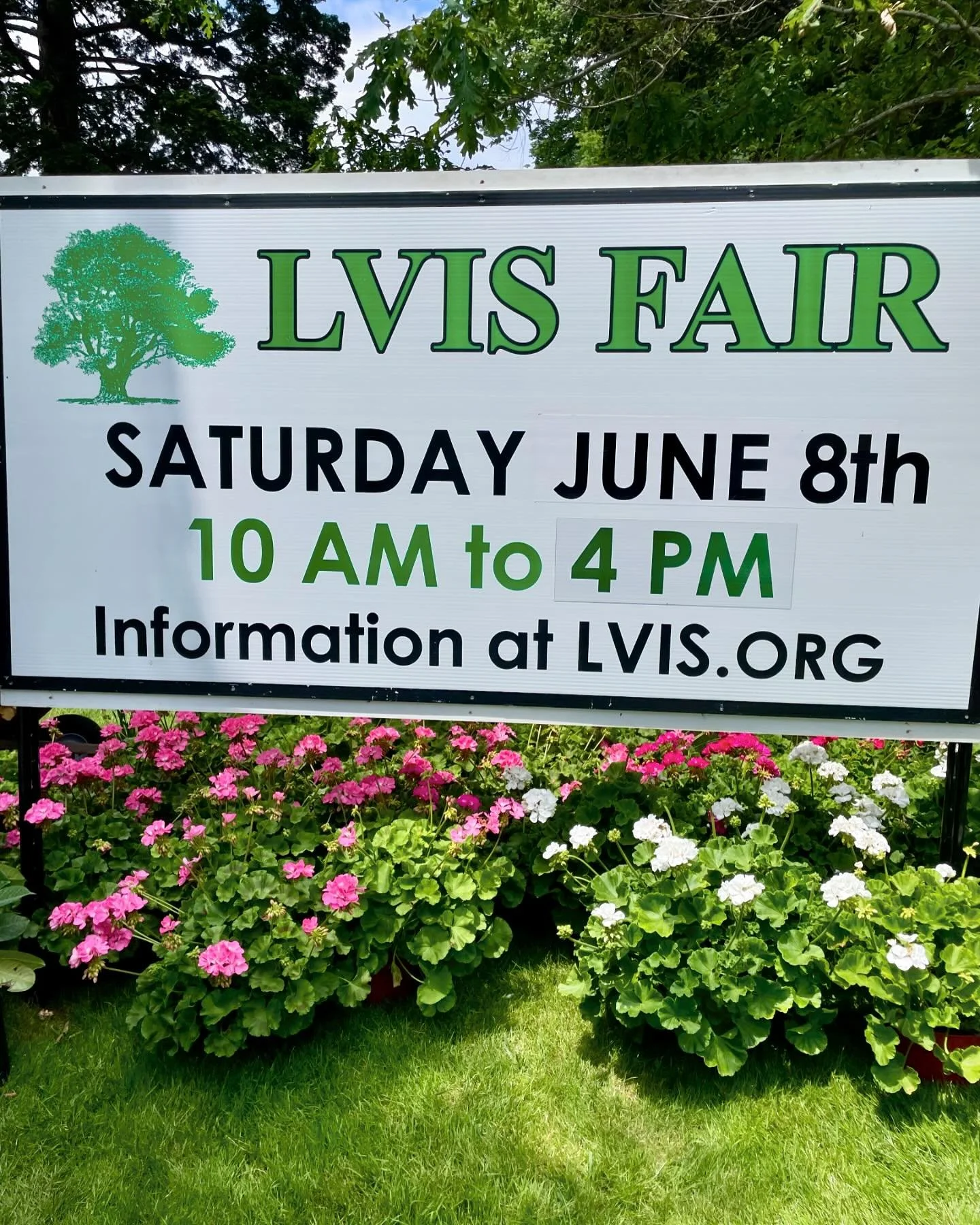 Thrift Shops — LVIS