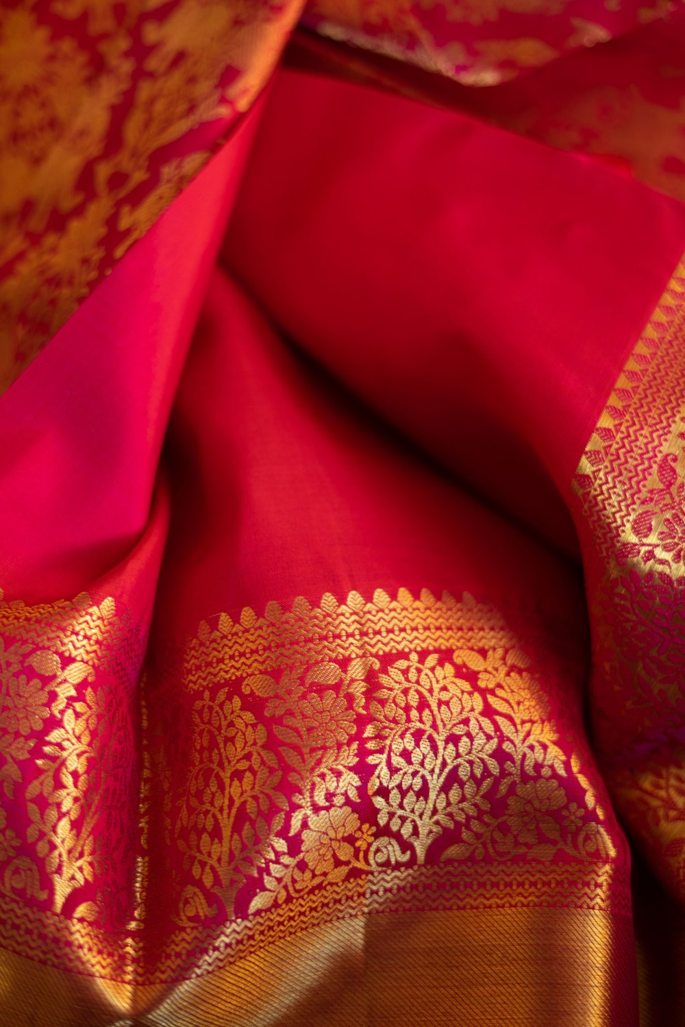 Red Saree With Golden Border