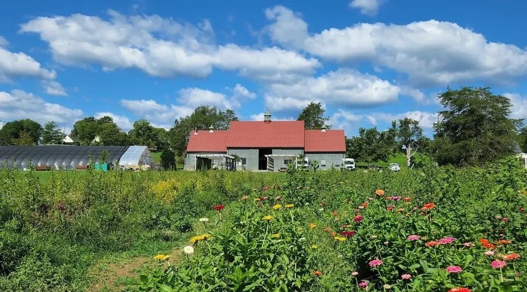 Barn Store — Bellair Farm