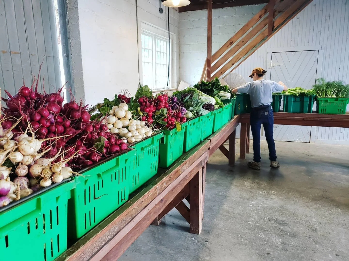 Market Schedule — Bellair Farm