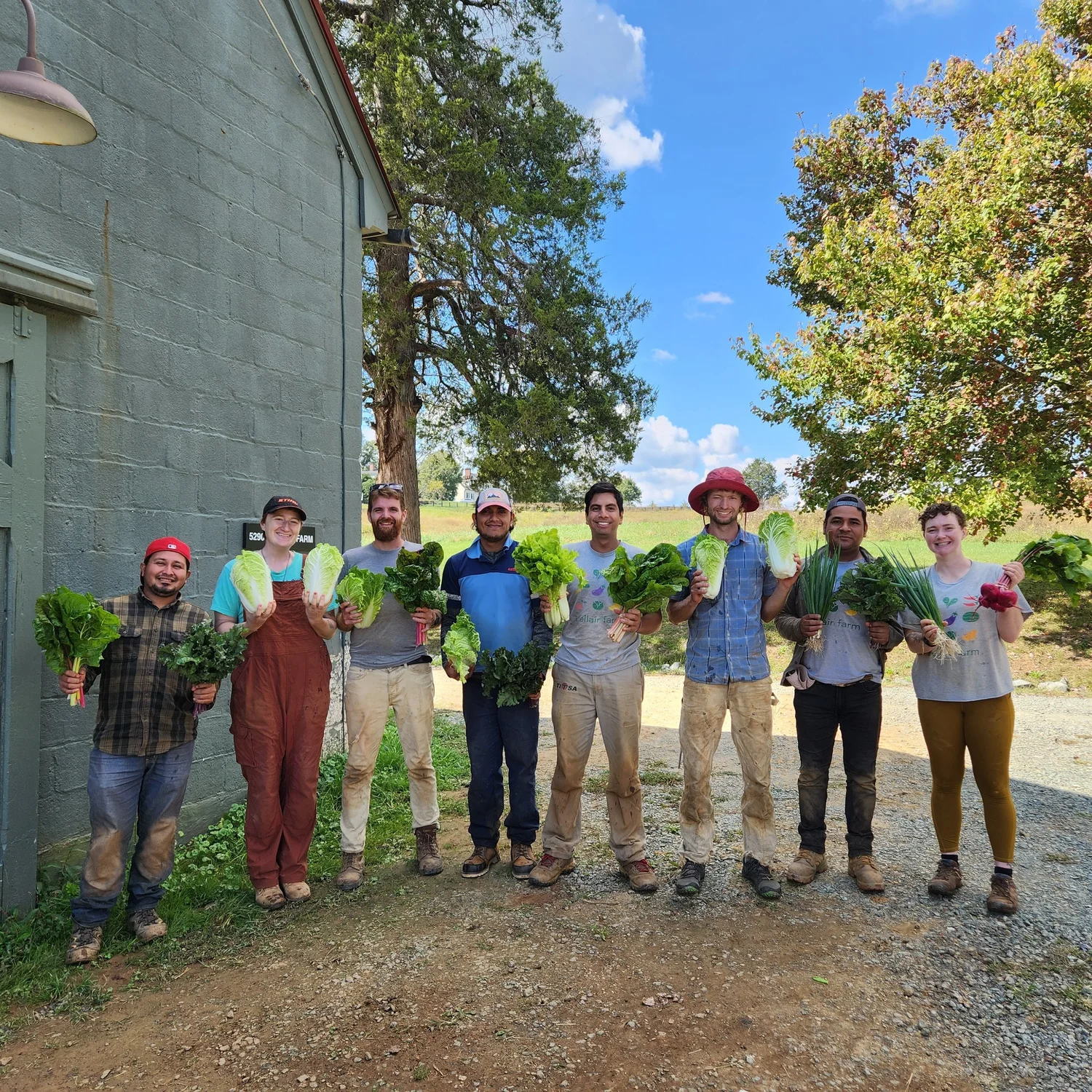 Your Farmers — Bellair Farm