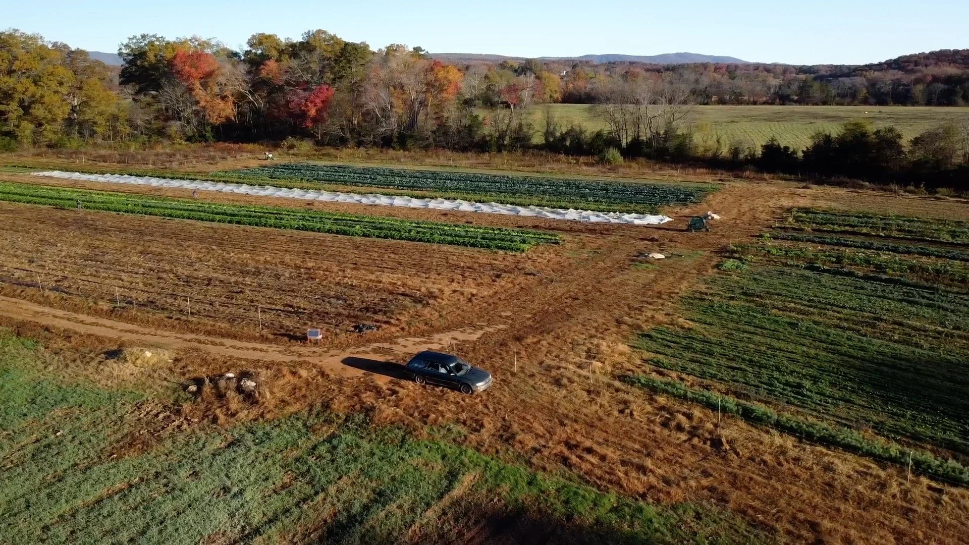 About Bellair — Bellair Farm