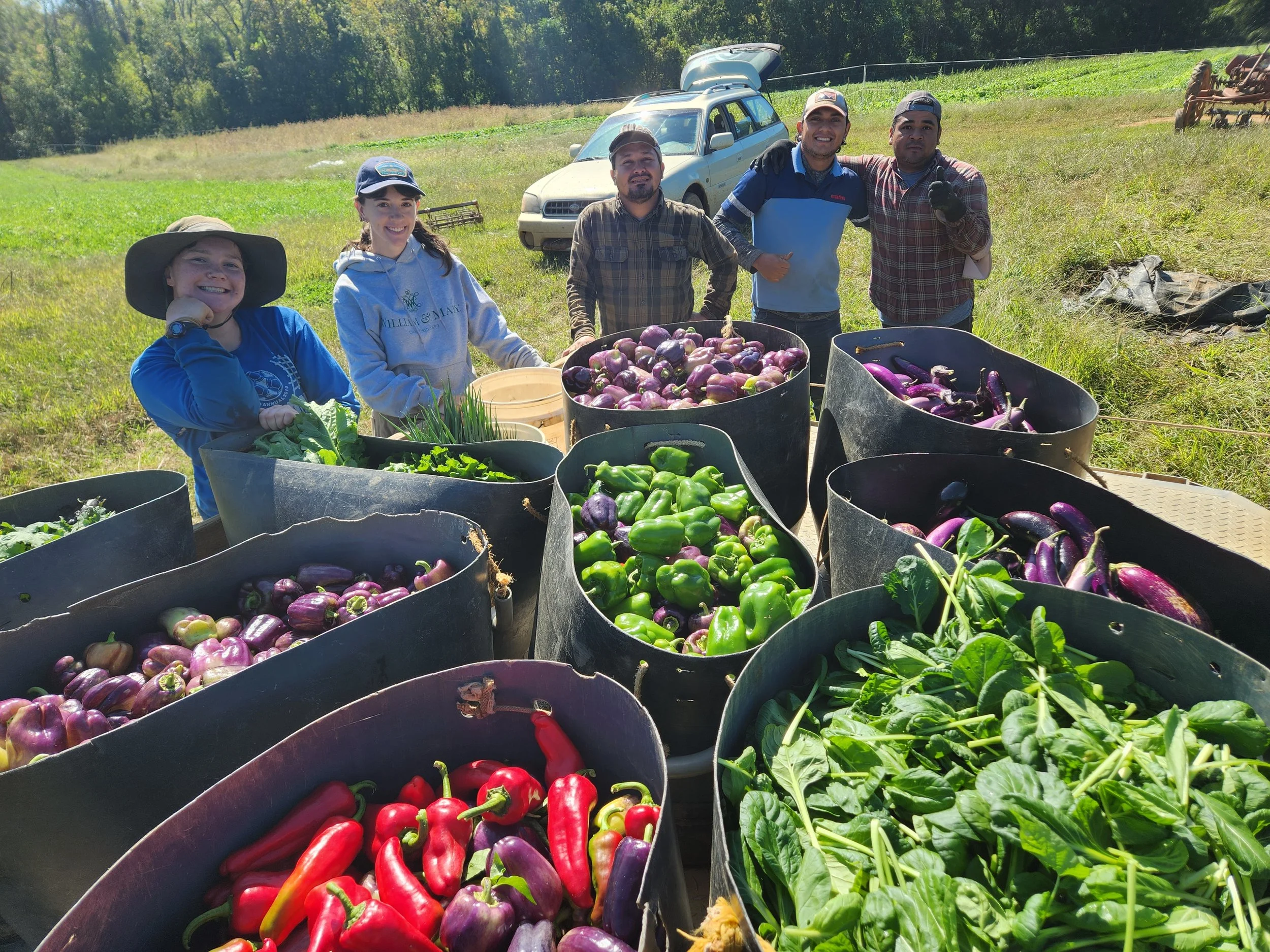 About Bellair — Bellair Farm