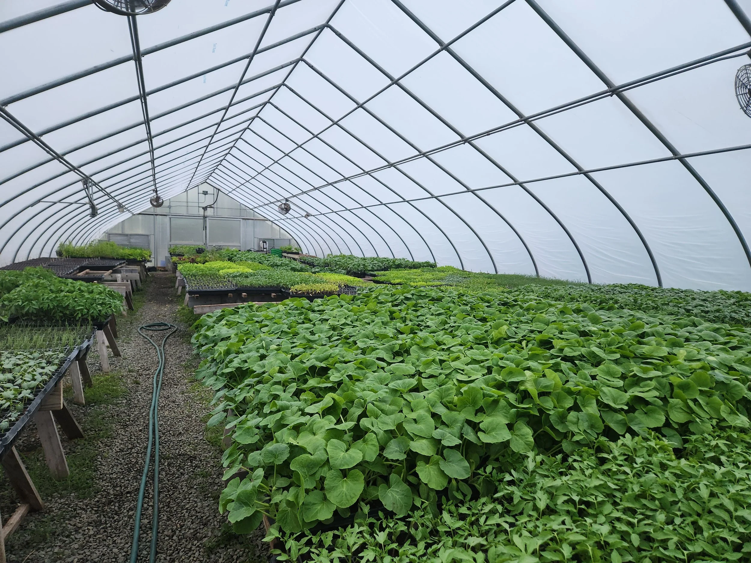 About Bellair — Bellair Farm