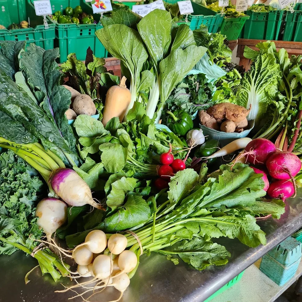 Summer CSA Details — Bellair Farm