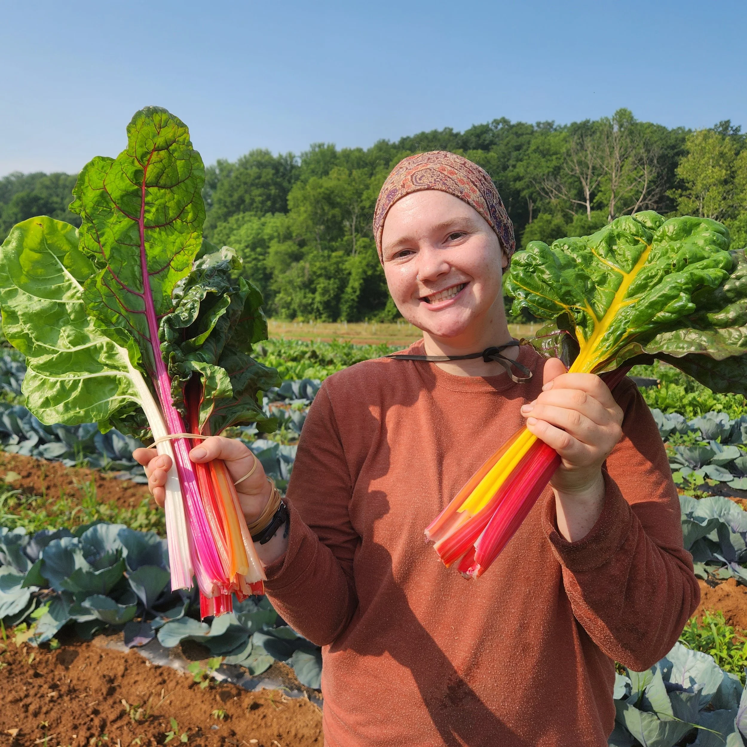 Your Farmers — Bellair Farm