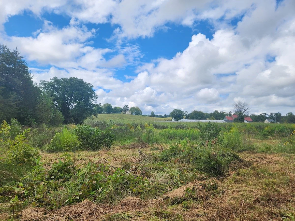Annual Update: Conservation — Bellair Farm