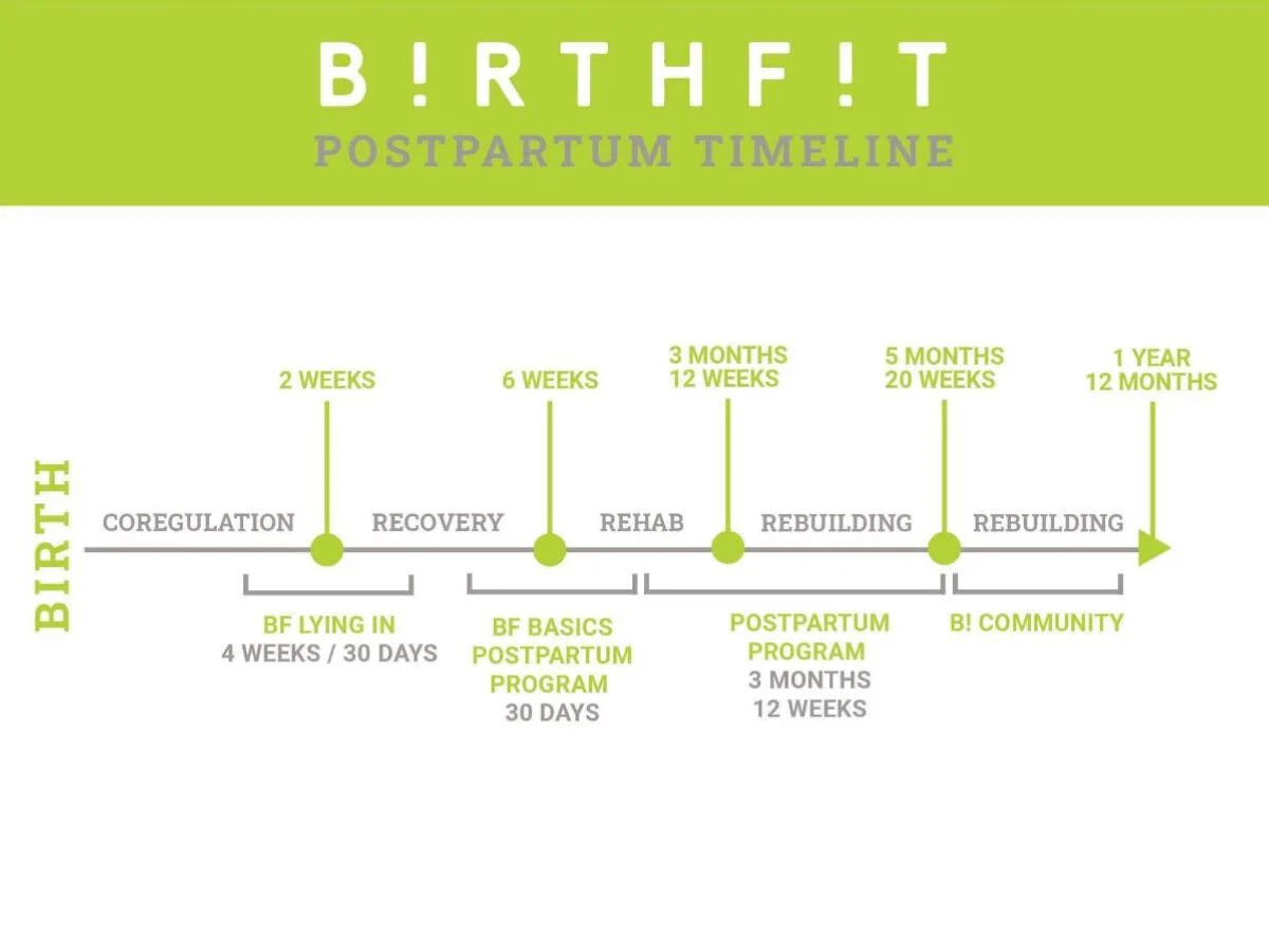 Pregnancy/Postpartum Resources — NASHVILLE BRAIN AND BODY