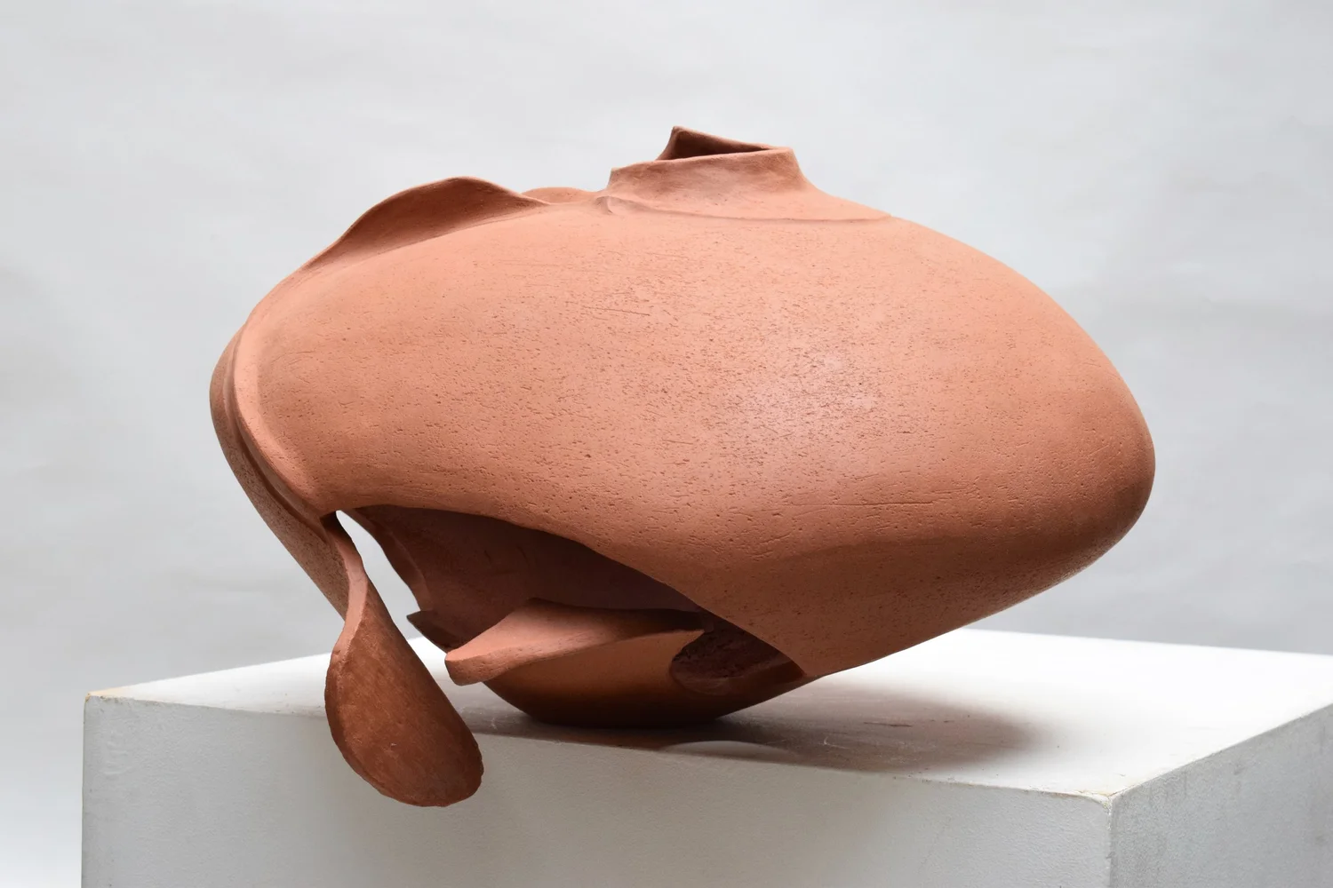 Primus — Bisila Noha