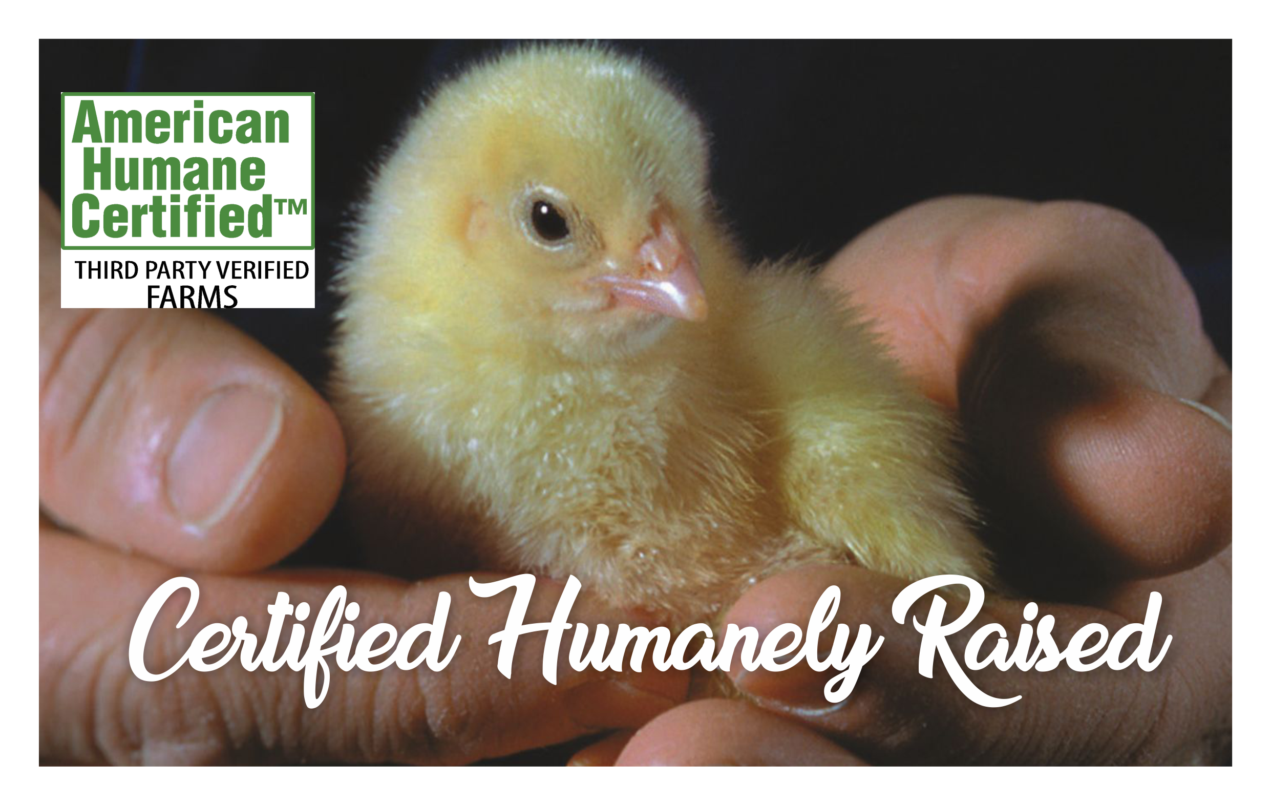 Springer Mountain Farms