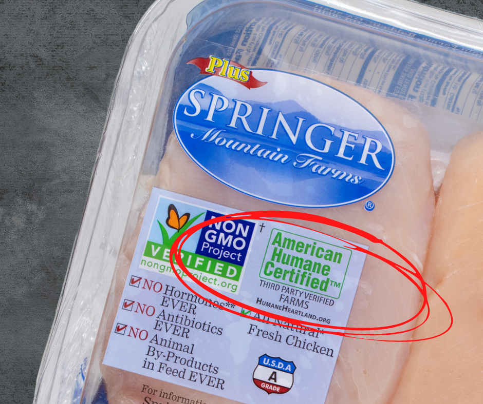 Fresh News — Springer Mountain Farms