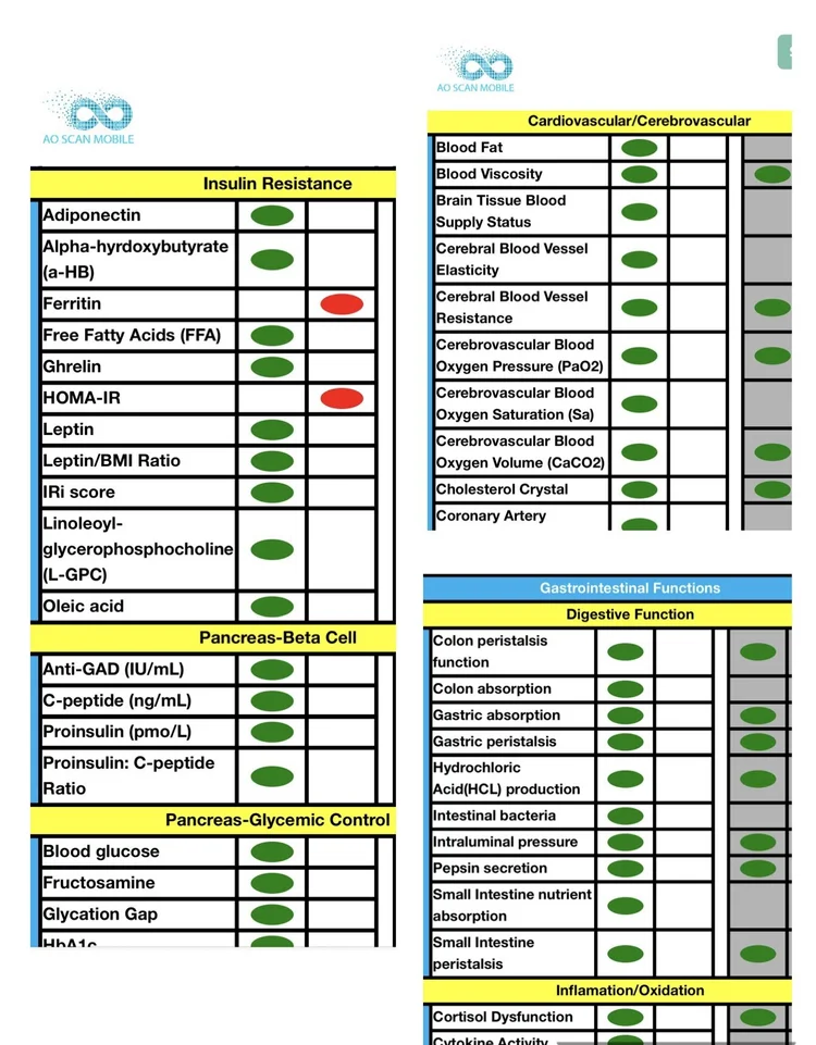 AO SCAN DIGITAL BODY ANALYZER — Kim's Herbs & Detox Center