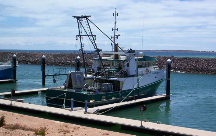 Media — Notus Electronics | Net Monitoring Systems