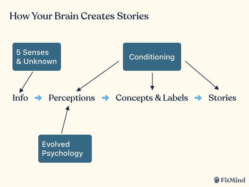 Self-Stories: Fabrications of the Mind — FitMind