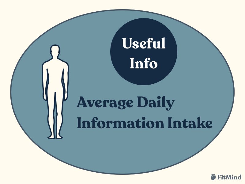 Mental Dieting: A Low-Information Diet — FitMind